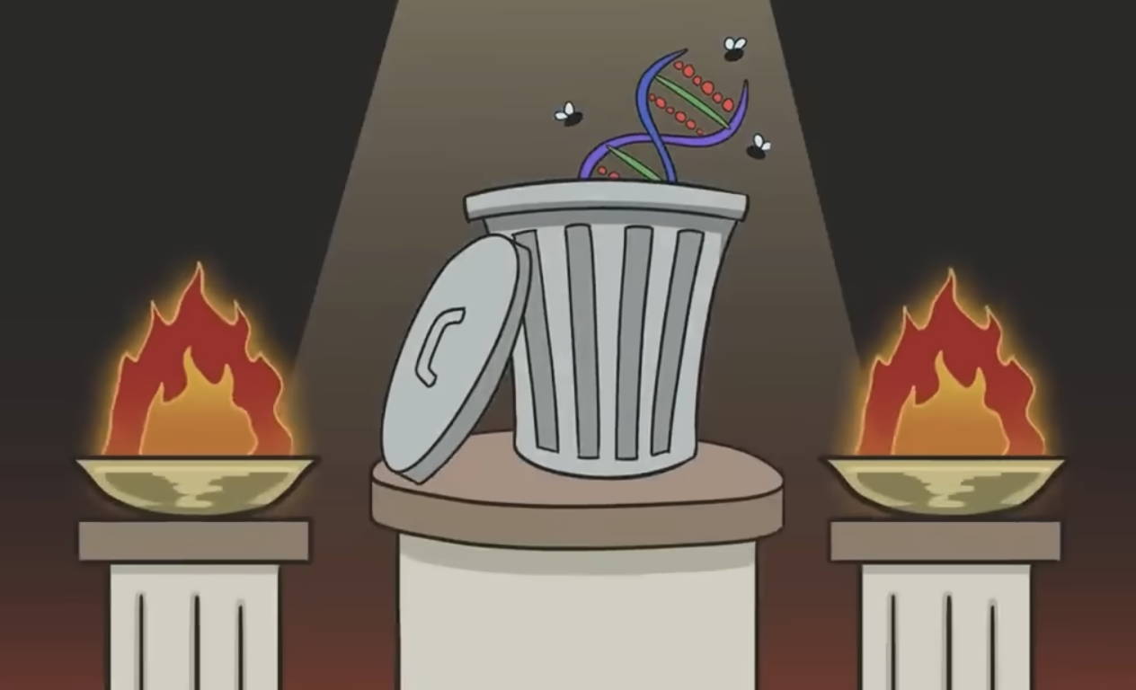 CONSIDER THIS: No, The Encode Evidence Shows 'Junk DNA' is a Myth ...